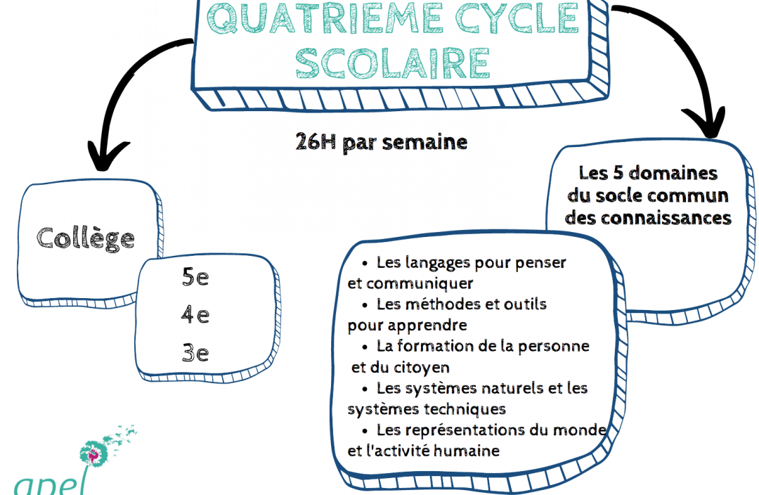 Quels sont les objectifs du quatrième cycle scolaire